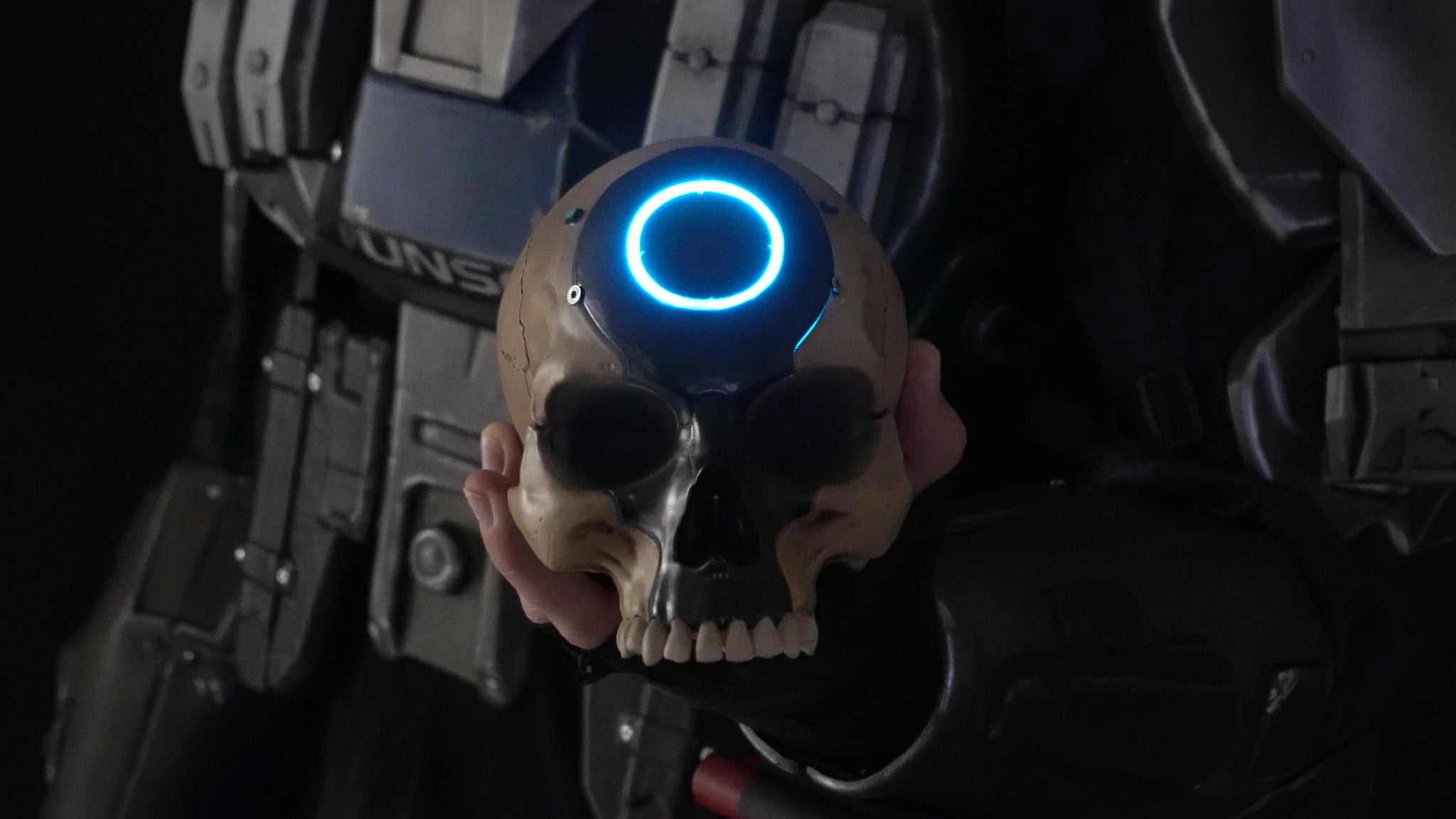 Infinite Oddball Skull - 3D Print Files – Galactic Armory