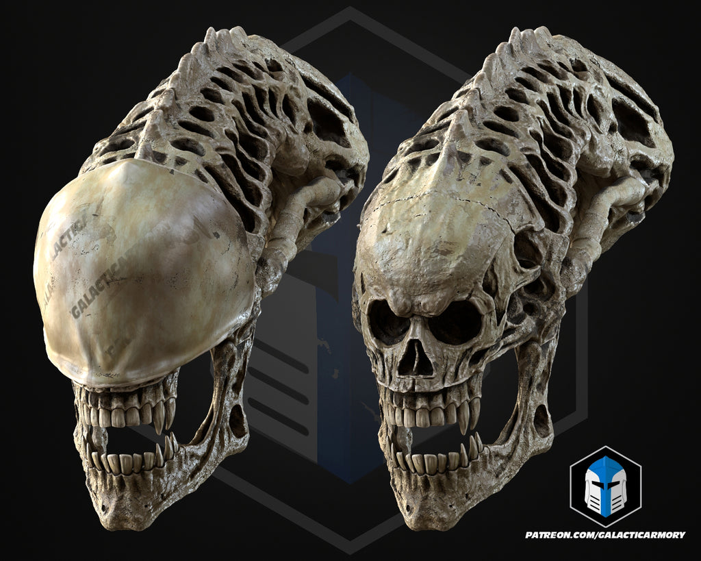 Xenomorph Skull - 3D Print Files – Galactic Armory